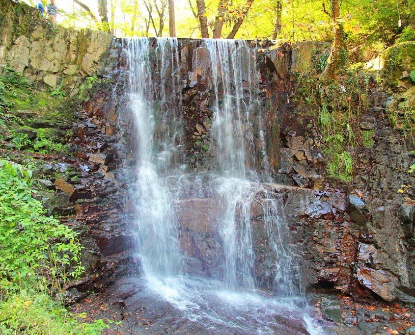 Spring Destinations for your Iran Tour