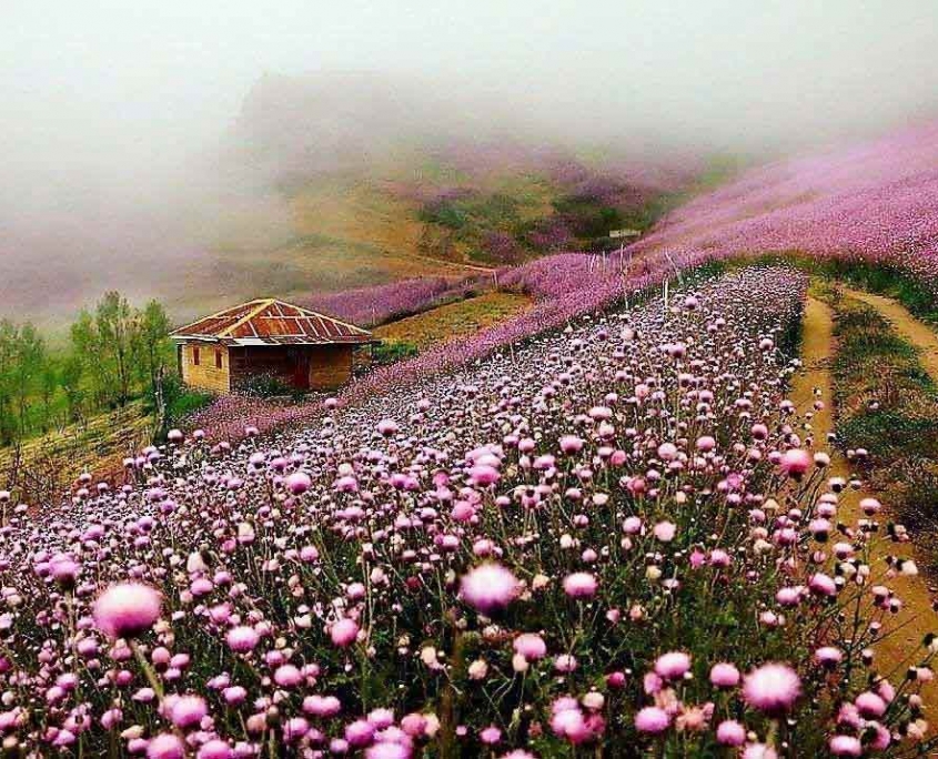 The Coolest Places in Iran during Hot Summer Holidays (Part II)